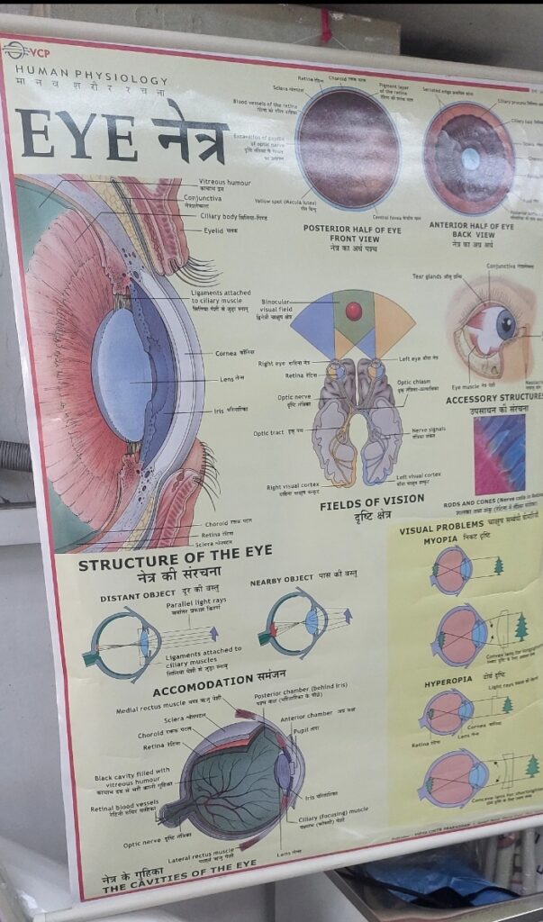Eye chart for science lab - Medstore
